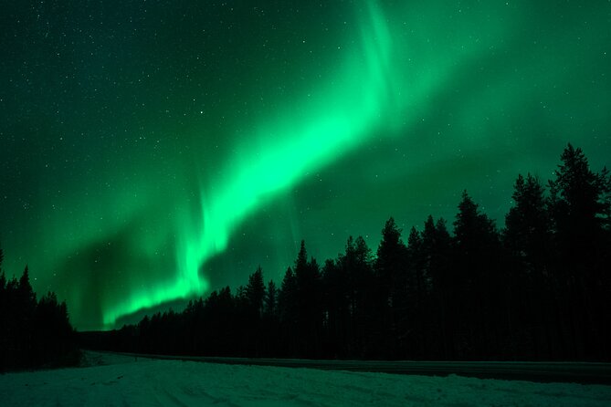 Northern Lights Rovaniemi: Guaranteed Viewing & Unlimited Mileage - Who Will Love This Tour?