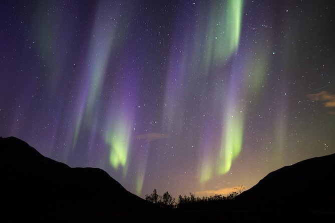 Northern Lights Safari From Tromso - Pickup and Drop-off Details