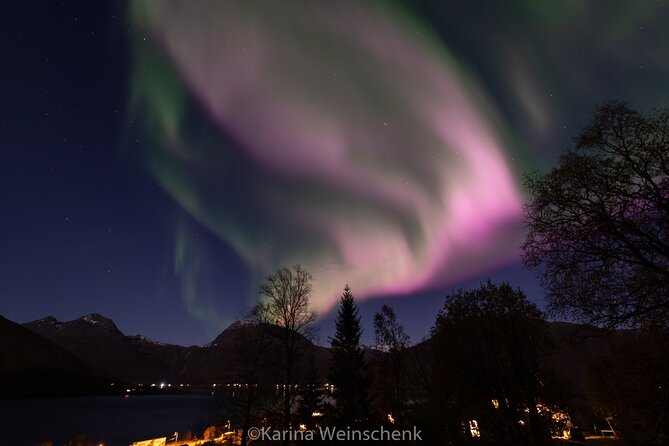 Northern Lights Safari From Tromso - Customer Reviews and Feedback