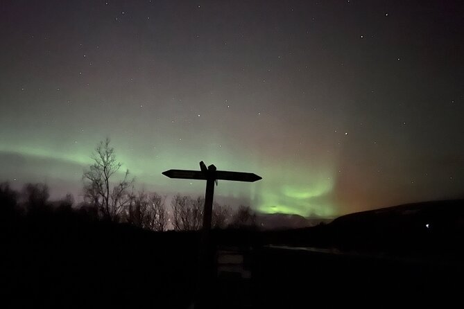 Northern Lights Safari on Quads - Booking and Pricing Information