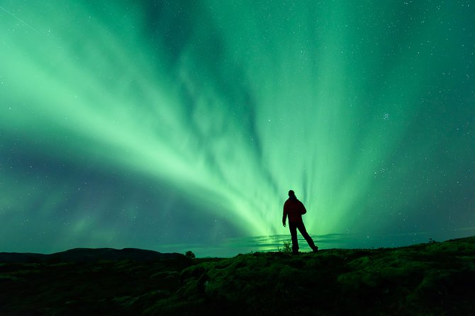 Northern Lights - Small Group Tour from Reykjavik - A Close Look at the Tour Experience