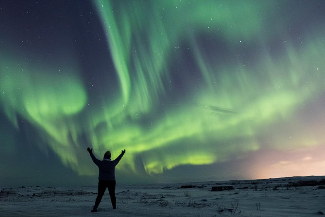 Northern Lights Small Group Tour From Reykjavik With Free Photos - Since You Asked