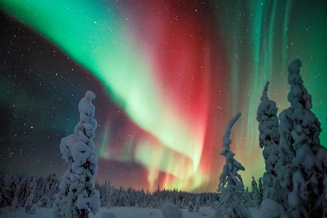 Northern Lights Snowmobile Driving Safari - Whats Included in the Safari Package