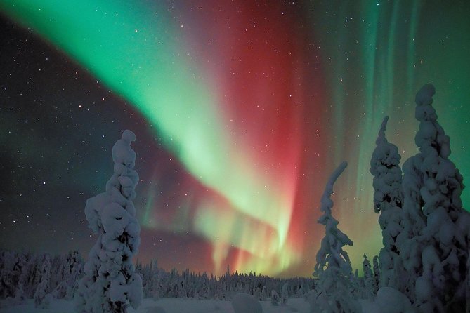 Northern Lights Snowmobile Safari From Rovaniemi With Campfire Picnic - Additional Information