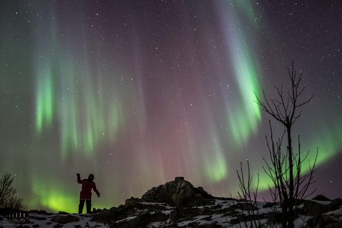 Northern Lights tour - All inclusive - Northern Horizon - What You Can Expect During the Tour