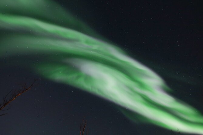 Northern Lights Tour & Arctic Experience - More Than Just a Chase - Exploring Tromsos Cultural Tapestry