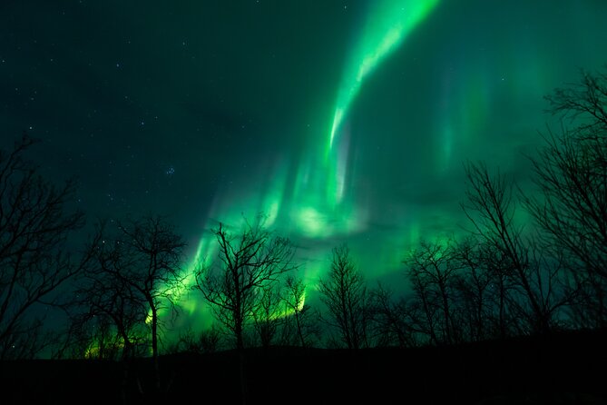 Northern Lights Tour from Kiruna to Abisko with Dinner - Key Points