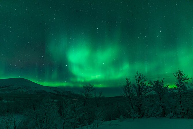 Northern Lights Tour from Kiruna to Abisko with Dinner - Who Will Love This Tour?