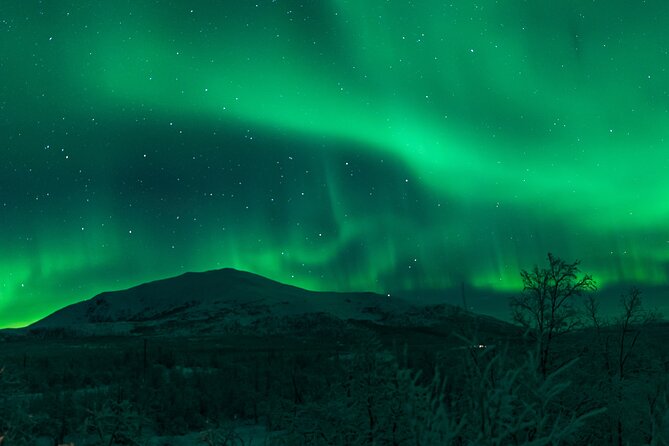 Northern Lights Tour from Kiruna to Abisko with Dinner - FAQ: Your Practical Questions Answered