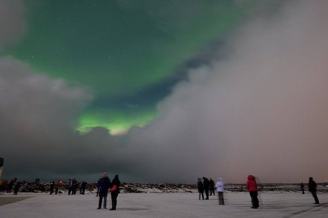 Northern Lights Tour From Reykjavik Review - Transportation and Carbon Neutrality