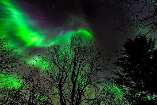 Northern Lights Tour From Reykjavik With Lifetime Guarantee - Whats Included in the Tour