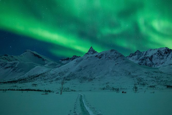 Northern Lights Tour from Tromsø - The Sum Up