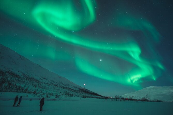 Northern Lights Tour in Tromso - What’s Included and What’s Not