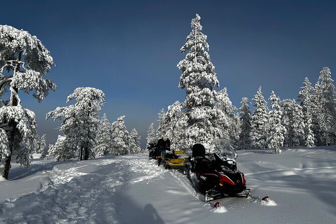 Northern Lights Tour Snowmobile Driving - An Introduction to the Experience