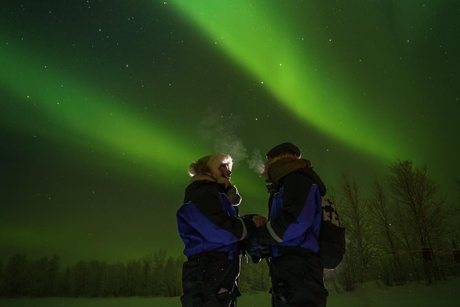 Northern Lights Tour to Lake Inari From Ivalo, Reindeers & Dinner - Customer Feedback and Ratings