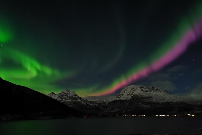 Northern Lights Tour, Tromso, Local Guide, Private Basecamp - Northern Lights Tour in Tromso: A Genuine Arctic Adventure