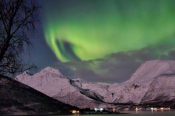 Northern Lights Tour, Tromso, Local Guide, Private Basecamp - The Practicalities and Value