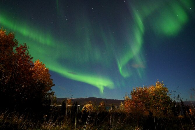 Northern Lights Tour With Alta Adventure - Physical Requirements