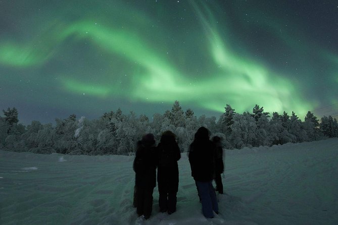 Northern Lights Tour With BBQ and Drinks - Taking in Lappish Culture
