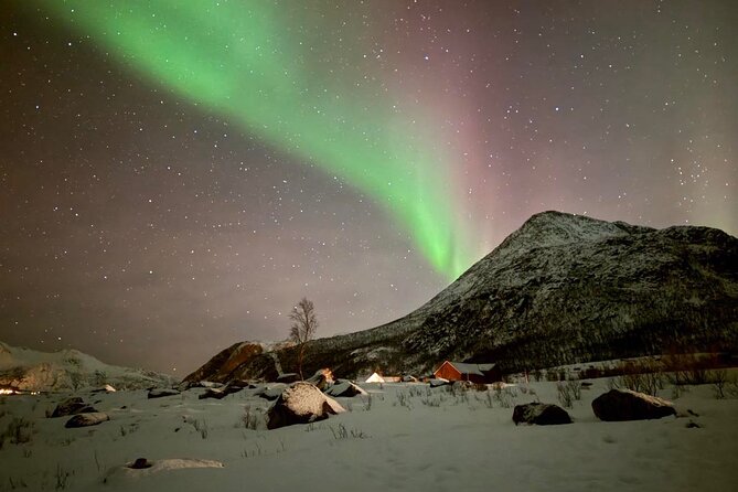 Northern Lights Tour With Hot Food and Drinks in Tromso - Inclusions and Equipment