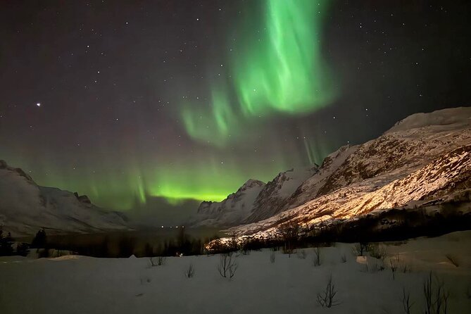 Northern Lights Tour With Hot Food and Drinks in Tromso - Tour Schedule and Accessibility