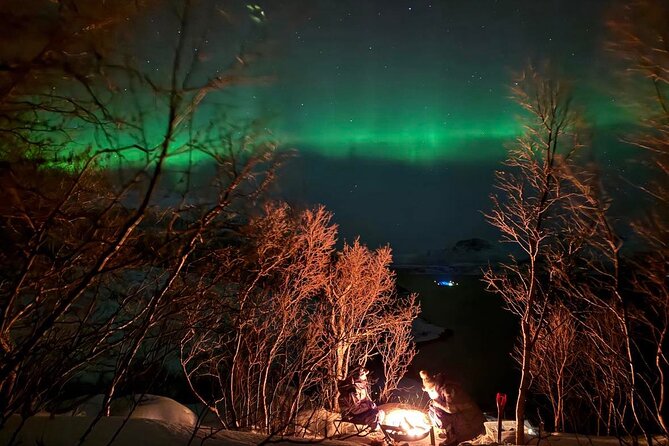 Northern Lights Tour With Hot Food and Drinks in Tromso - Weather and Viewing Conditions