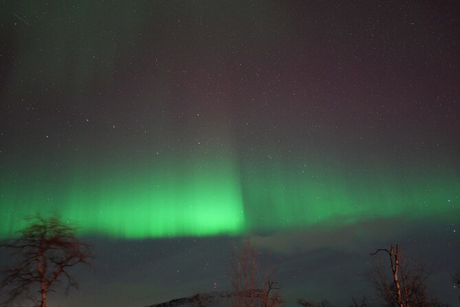 Northern Lights Tour with Local Guide and Photos - The Return Journey