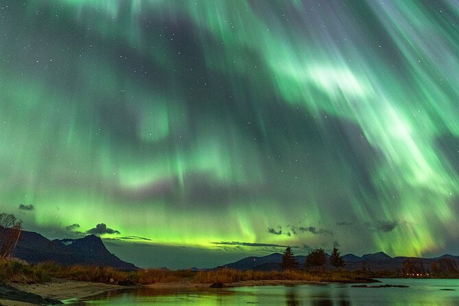 Northern Lights Tour with Local Guide and Photos - Real Experiences, Real Enthusiasm