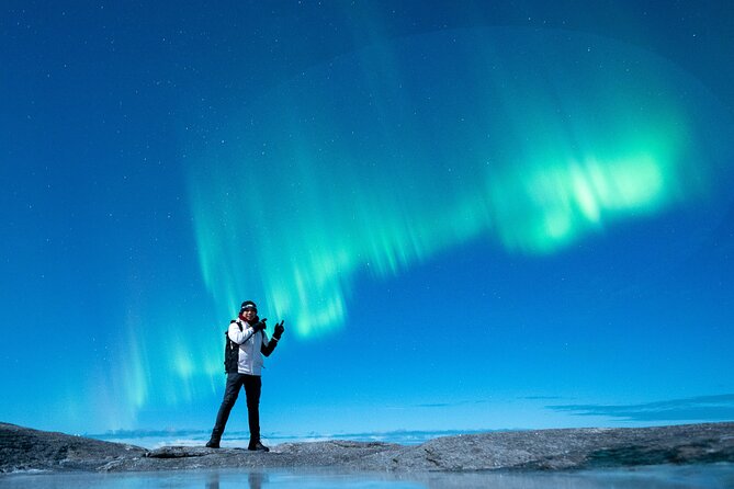 Northern Lights Tours Bodo Norway - Tour Experience