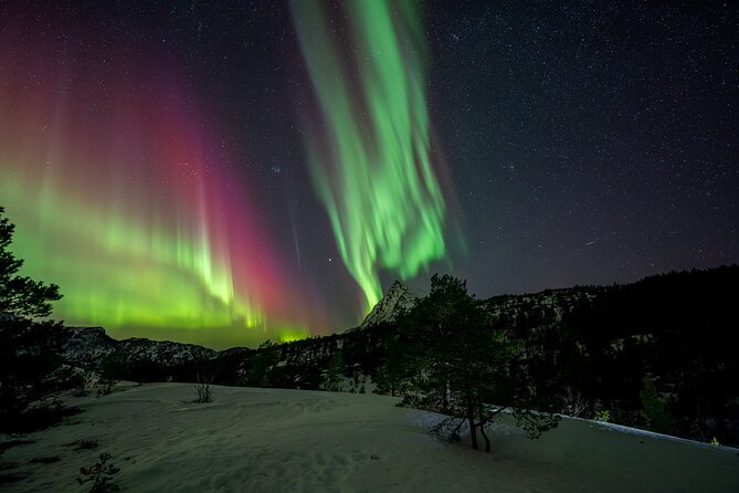 Northern Lights Tours Bodo Norway - Additional Information