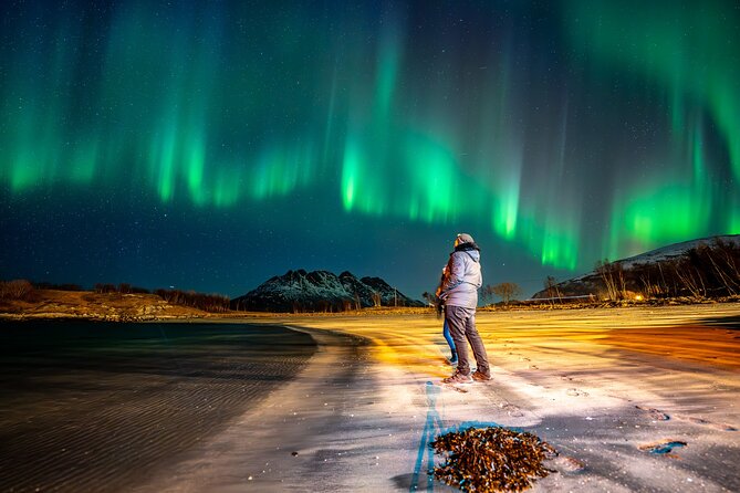 Northern Lights Tours Bodo Norway - Getting the Most Out of Your Tour