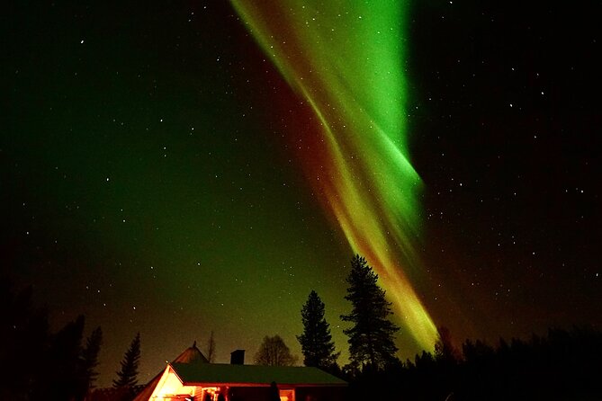 Northern Lights Trip to a Magical Place in Lapland - Who Should Book This Tour?