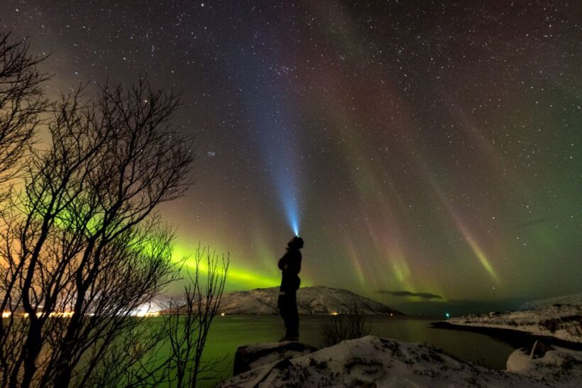 Northern lights Tromsø - small group tour with local guide - The Experience in Detail