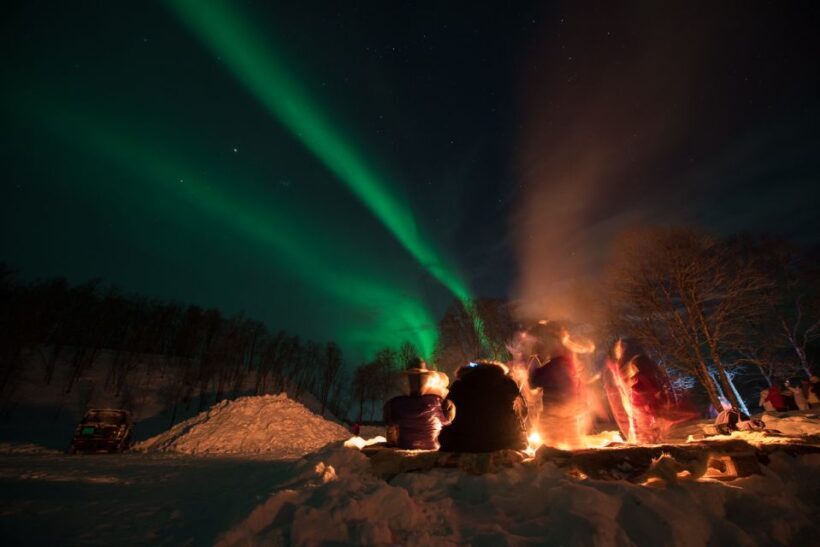 Northern lights Tromsø - small group tour with local guide - What’s Included and What’s Not