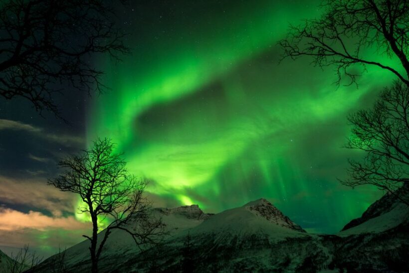 Northern lights Tromsø - small group tour with local guide - FAQ: Your Practical Questions Answered