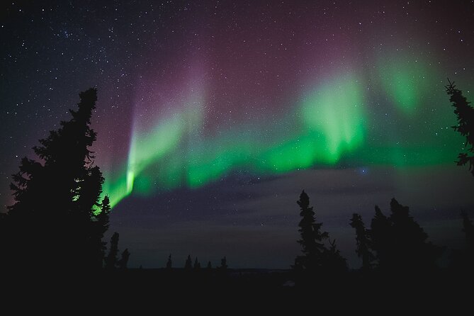 Northern Lights Viewing at Murphy Dome - Customer Reviews and Feedback
