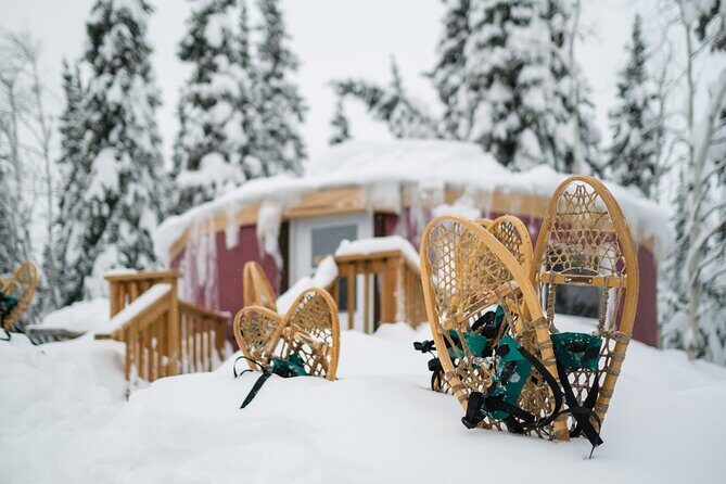Northern Lights Viewing in a Semi-Private Dome in Whitehorse - Frequently Asked Questions (FAQs)