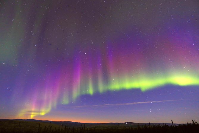 Northern Lights Viewing Including Dinner and 1-Hour Dog Sledding - The Dog Sledding Adventure