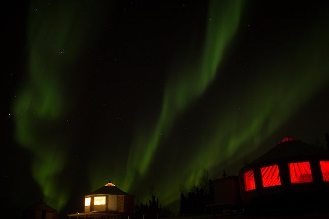 Northern Lights Viewing Including Dinner and 1-Hour Dog Sledding - Essential Information for Travelers
