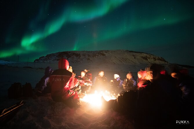 Northern Lights X Mini Bus Chase - Tour Logistics