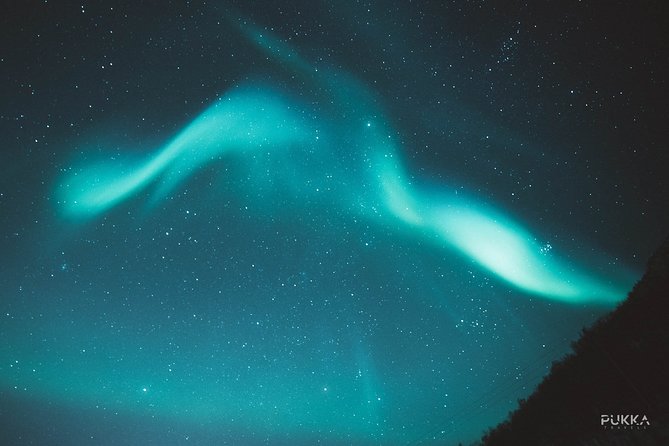 Northern Lights X Mini Bus Chase - Customer Experiences