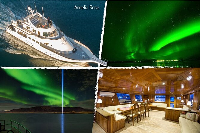 Northern Lights Yacht Cruise in Reykjavik - Meeting Point and Accessibility
