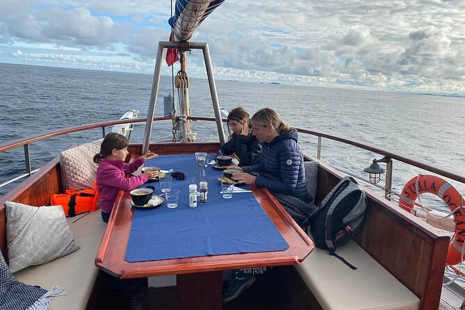 Northern Norway Luxury Fishing Trip From Dyrøyhamn - Accessibility and Booking Options