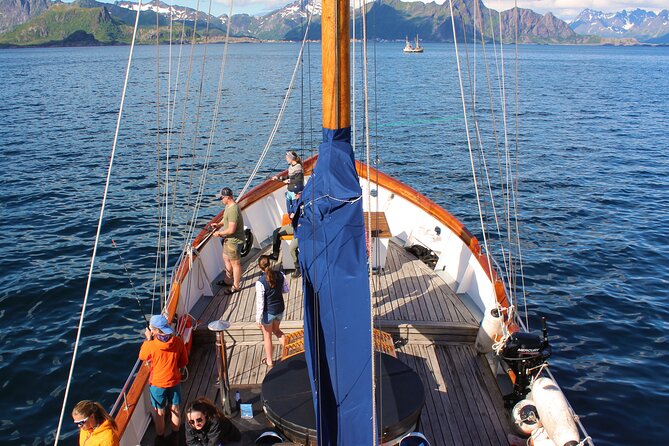 Northern Norway Luxury Fishing Trip From Dyrøyhamn - Preparing for Your Unforgettable Adventure