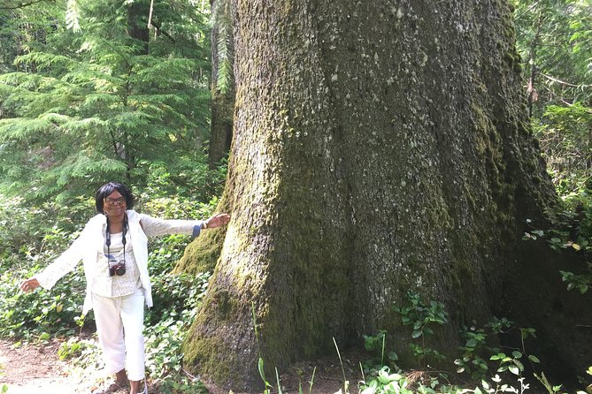 Northern Oregon Coast Day Trip to Cannon Beach Area - The Bottom Line: Who Is This Tour Best For?