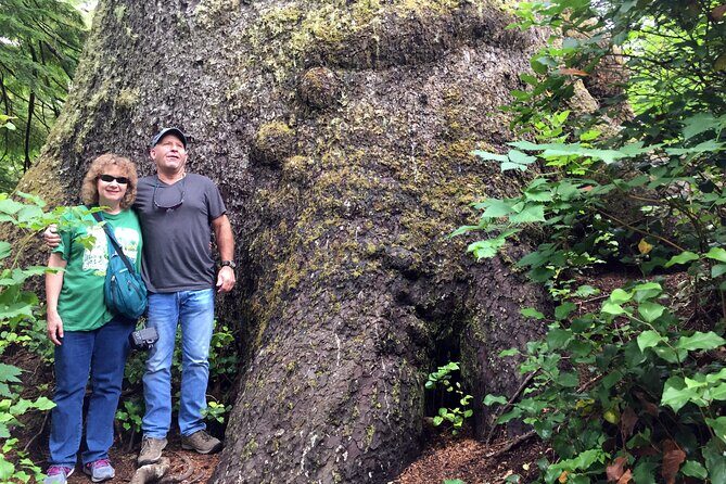 Northern Oregon Coast Day Trip to Three Capes Scenic Loop - Who Will Love This Tour?
