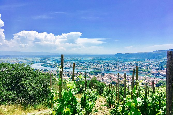 Northern Rhône Valley From Lyon to Hermitage Full Day - Key Points