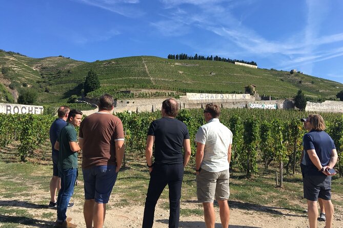 Northern Rhône Valley From Lyon to Hermitage Full Day - Exploring the Côtes Du Rhône Appellations