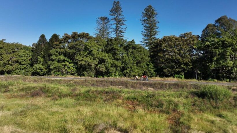 Northern Rivers Rail Trail E-Bike Hire w Shuttle from Byron - The Experience: What You Can Expect