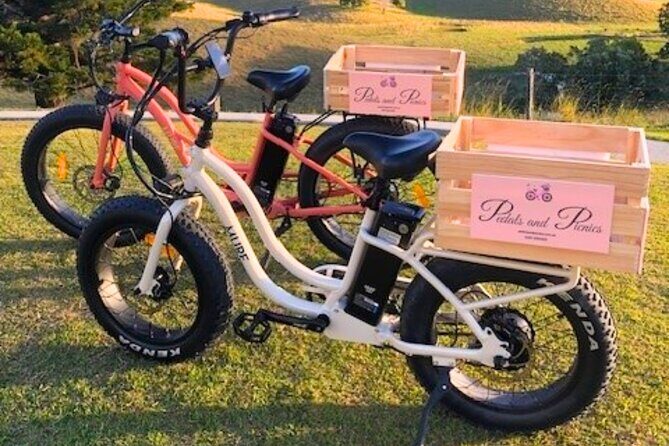 Northern Rivers Rail Trail Ebike and DIY Picnic Hire Full Day - Detailed Itinerary and Experience